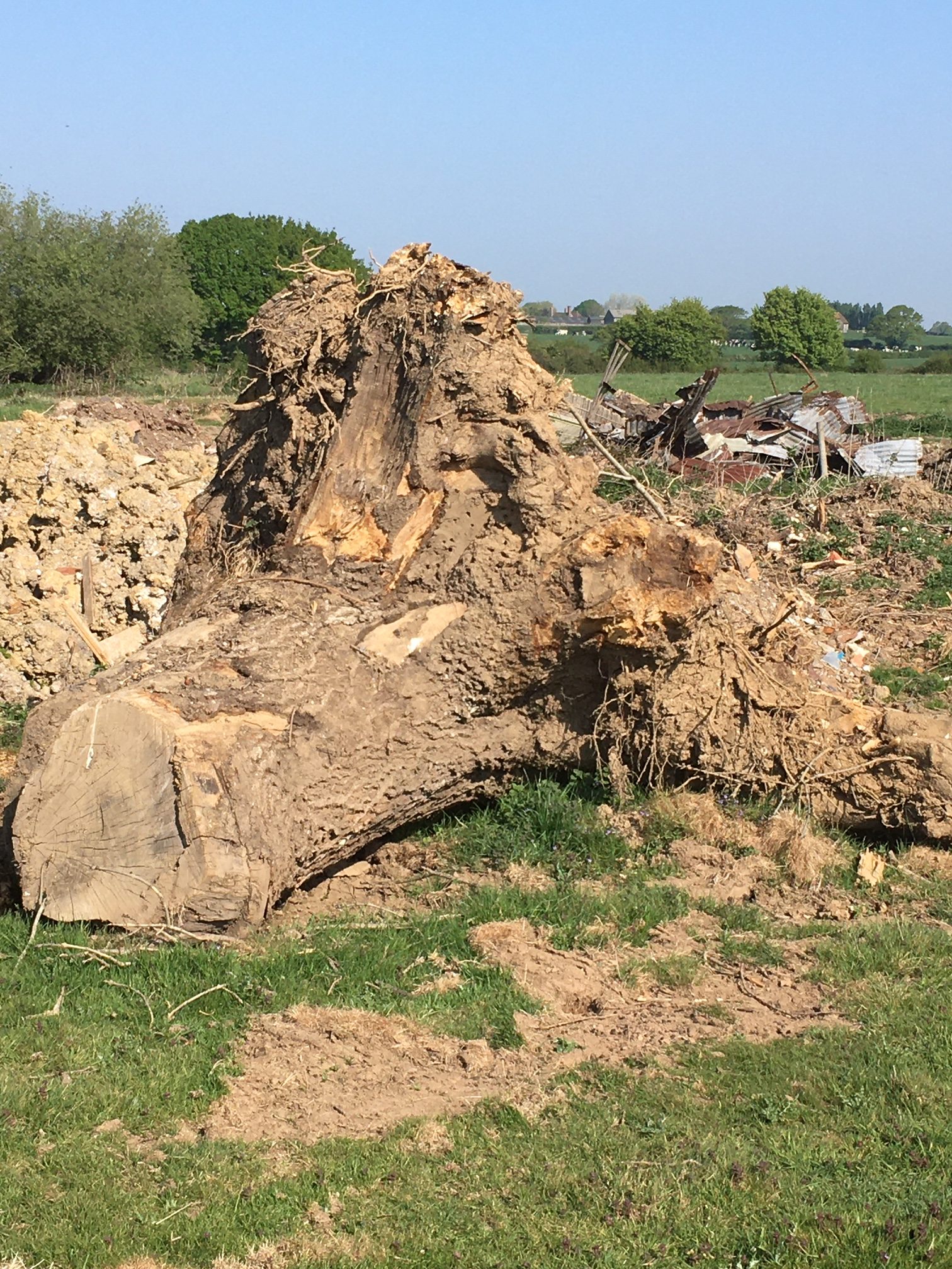 Catching Up During Lockdown - Great Betley Farmhouse